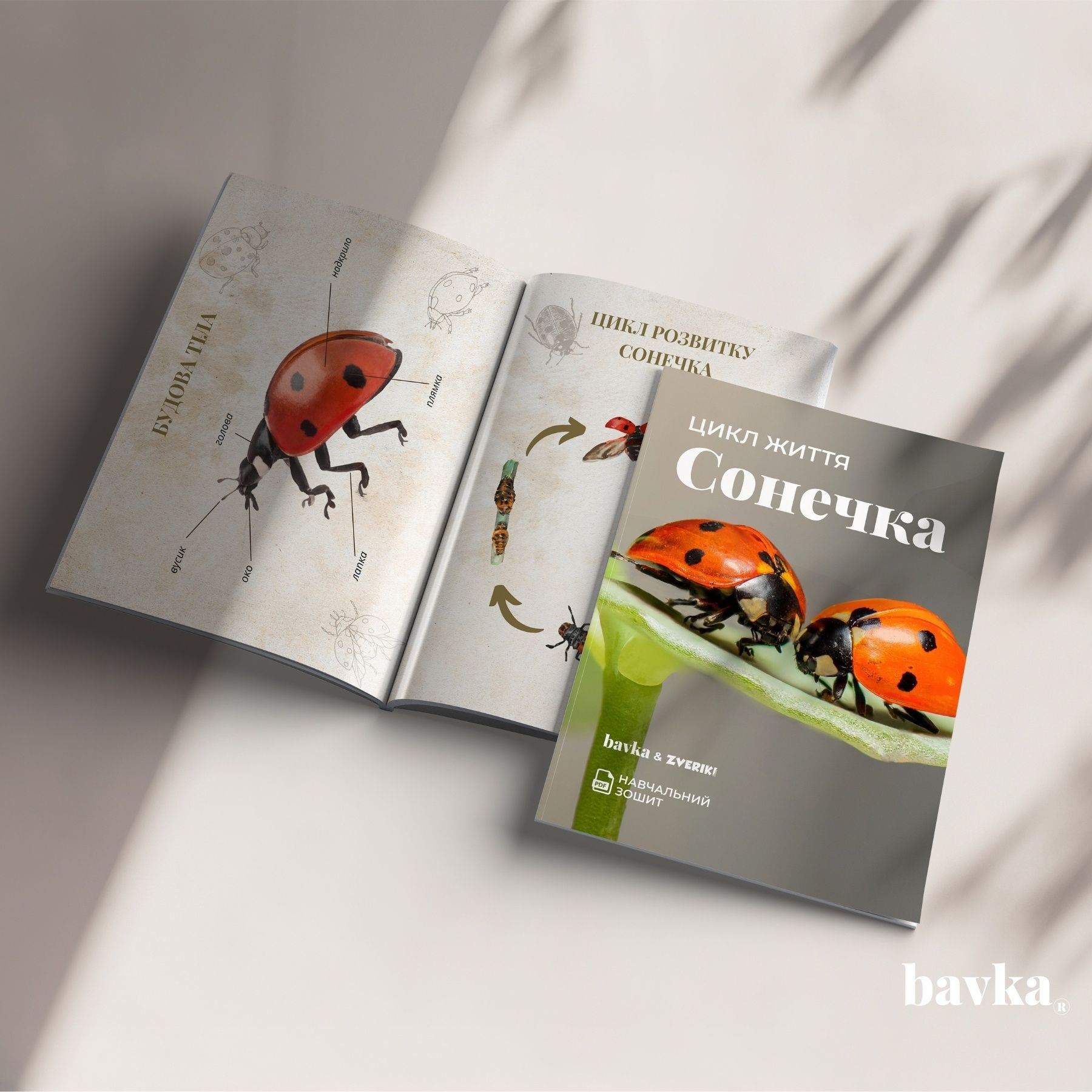 Ladybug Unit Study Life Cycle Pack Montessori Homeschool Printable ...